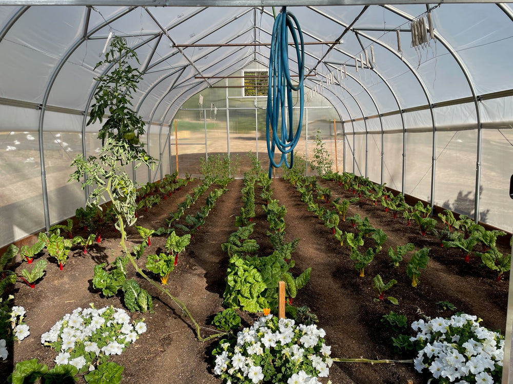 The Farm
